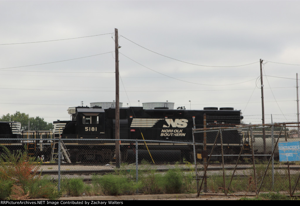 NS 5181